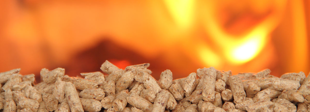 Guide on how to make wood pellets at home | AgriEuro Blog